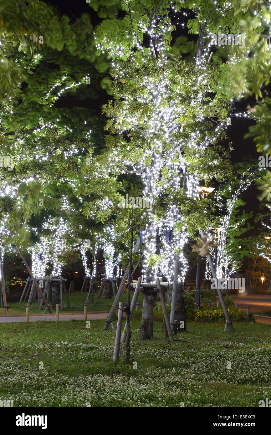 Tree night illuminated artificial light hi-res stock photography and ...
