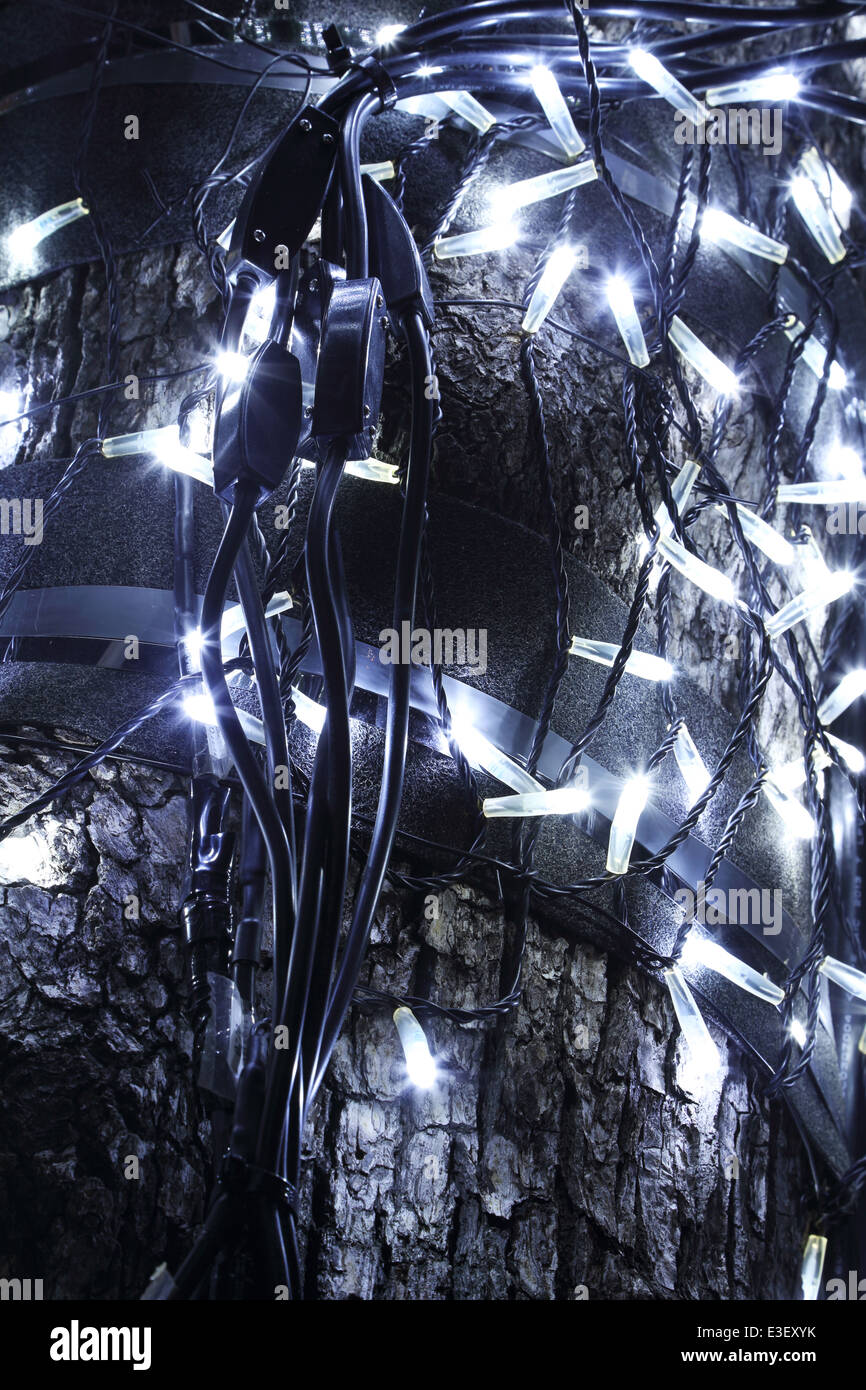 close-up of electric light on tree at night Stock Photo - Alamy