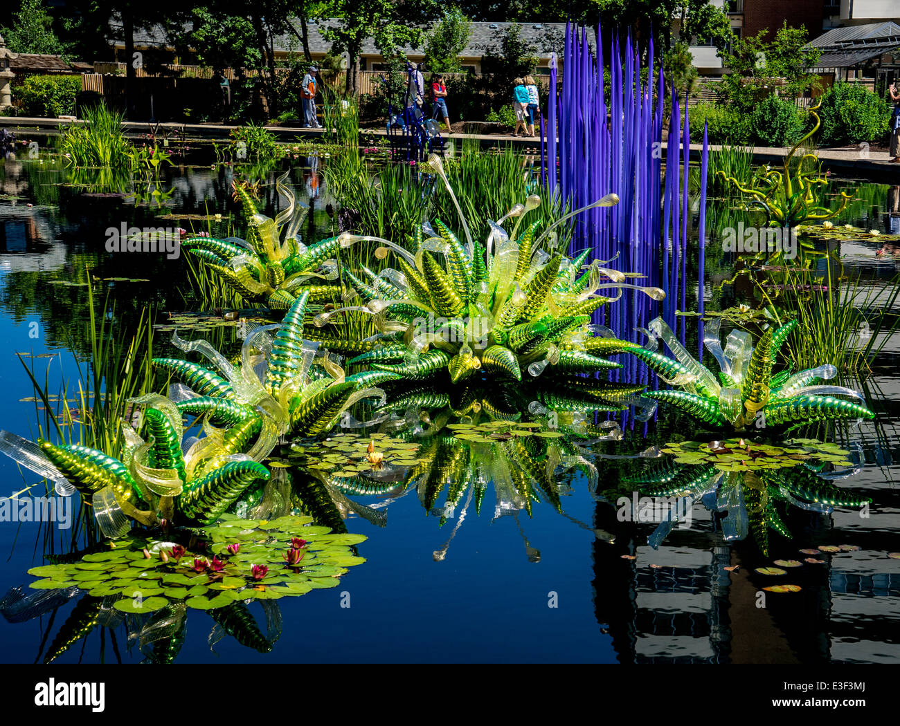 Dale chihuly flower hi-res stock photography and images - Alamy