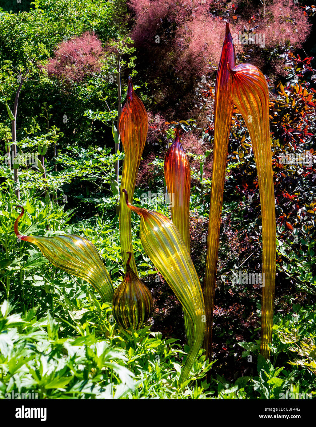Dale Chihuly hand-blown glass art exhibit at the Denver Botanic Gardens ...