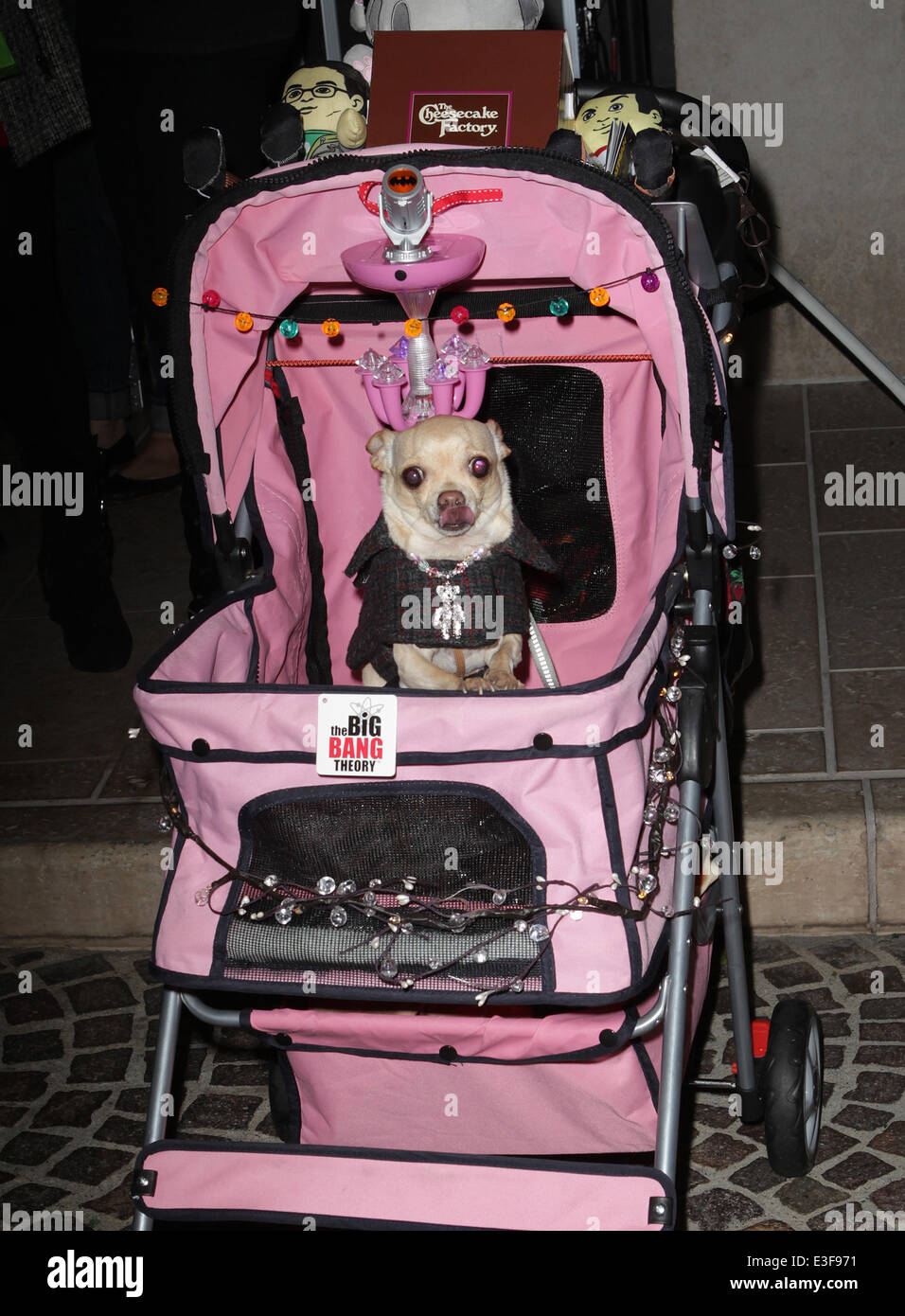 The Amanda Foundation's Annual Bow Wow Beverly Hills Halloween Event at ...
