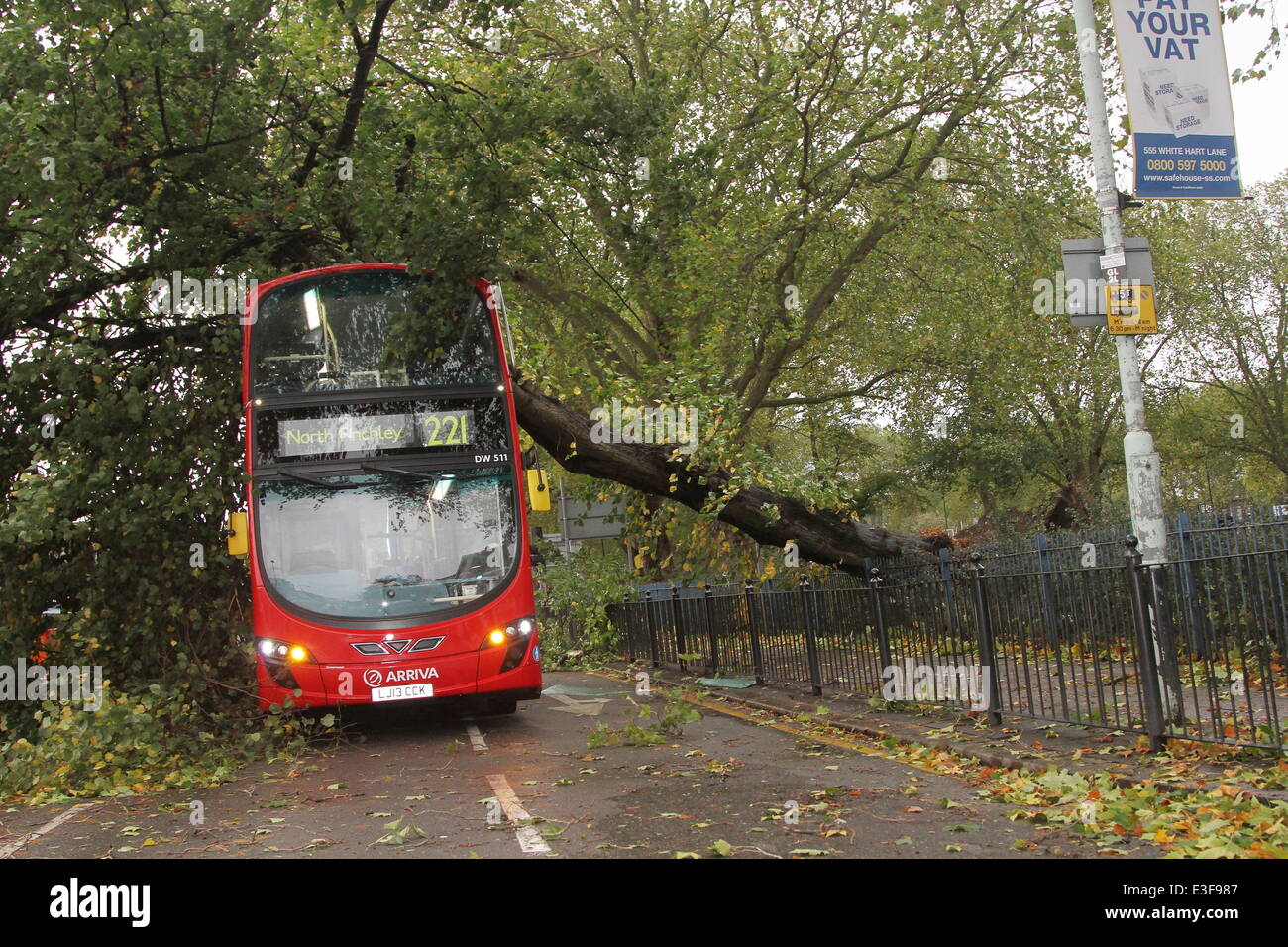A one hundred year old tree crashes on top of a 221 bus on Wood Green ...