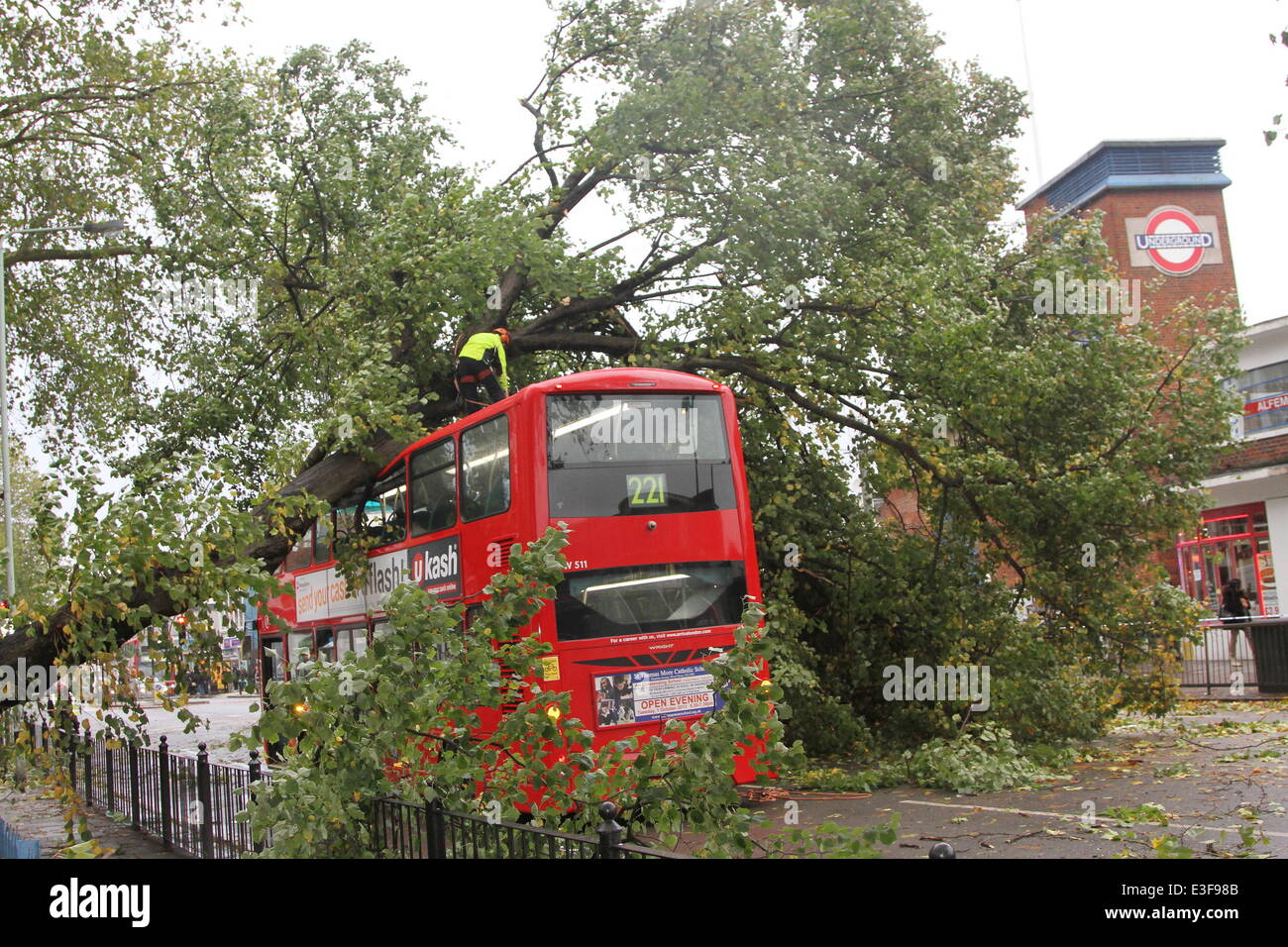 A one hundred year old tree crashes on top of a 221 bus on Wood Green ...