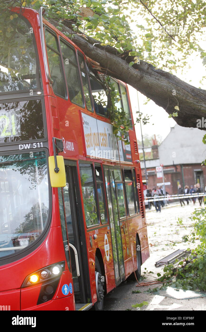 A one hundred year old tree crashes on top of a 221 bus on Wood Green ...