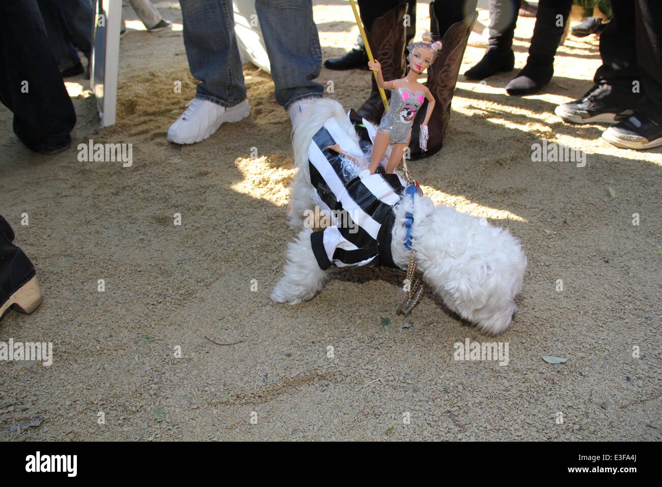 The 23rd Annual Tompkins Square Halloween Dog Parade. Thousands of ...