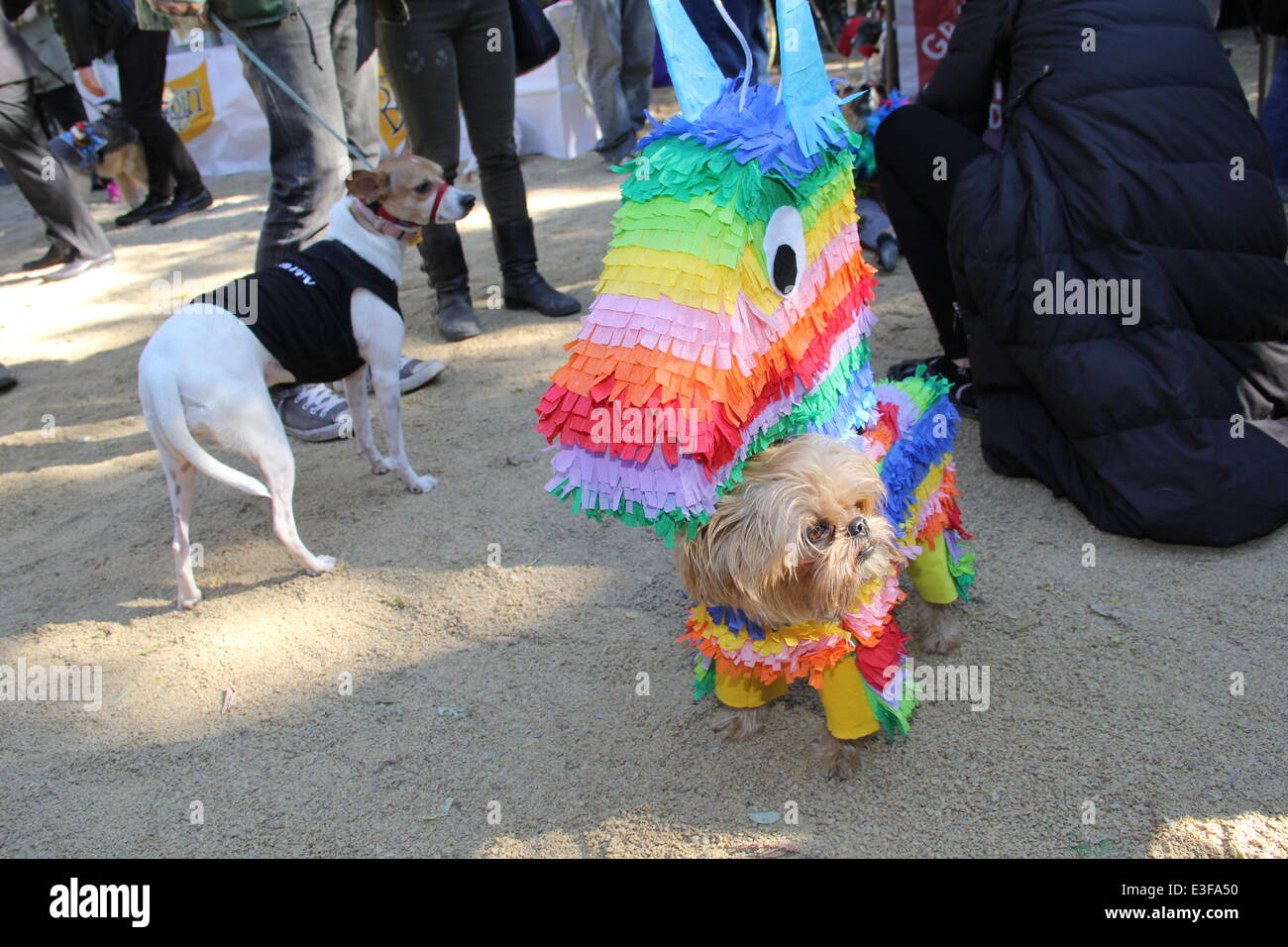 The 23rd Annual Tompkins Square Halloween Dog Parade. Thousands of ...