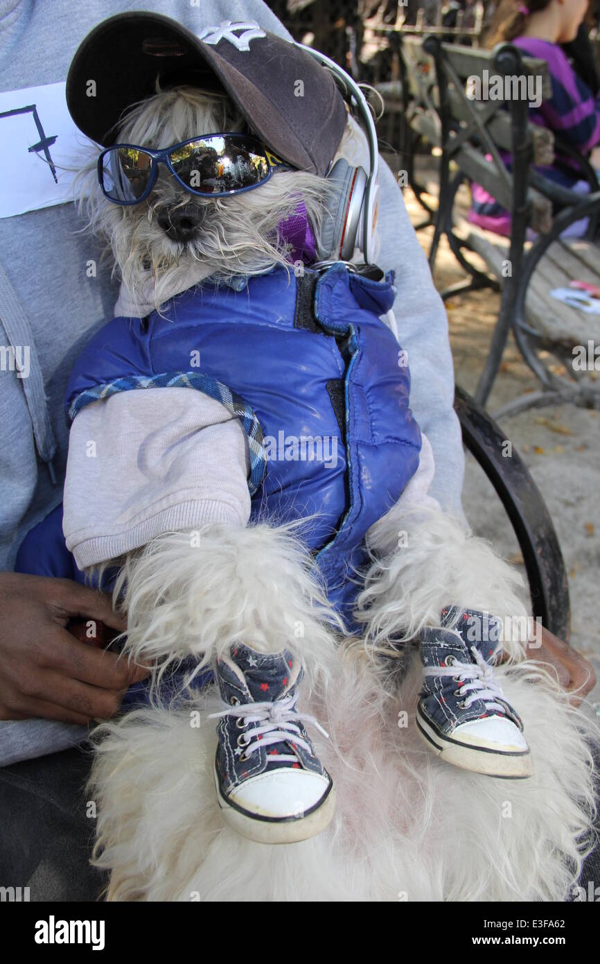 The 23rd Annual Tompkins Square Halloween Dog Parade. Thousands of ...