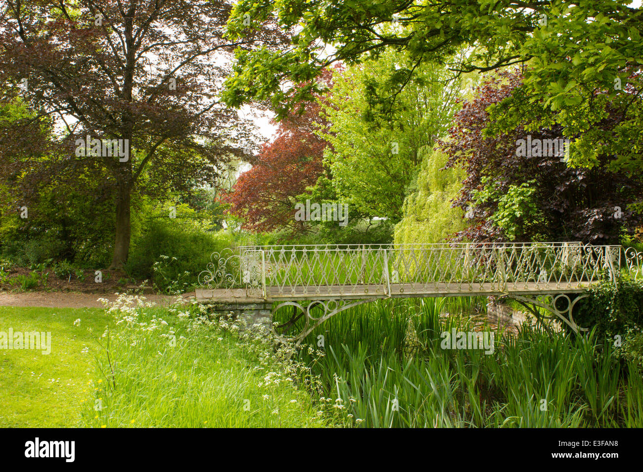 A Victorian garden with woodland and herbaceous plants seldom found ...