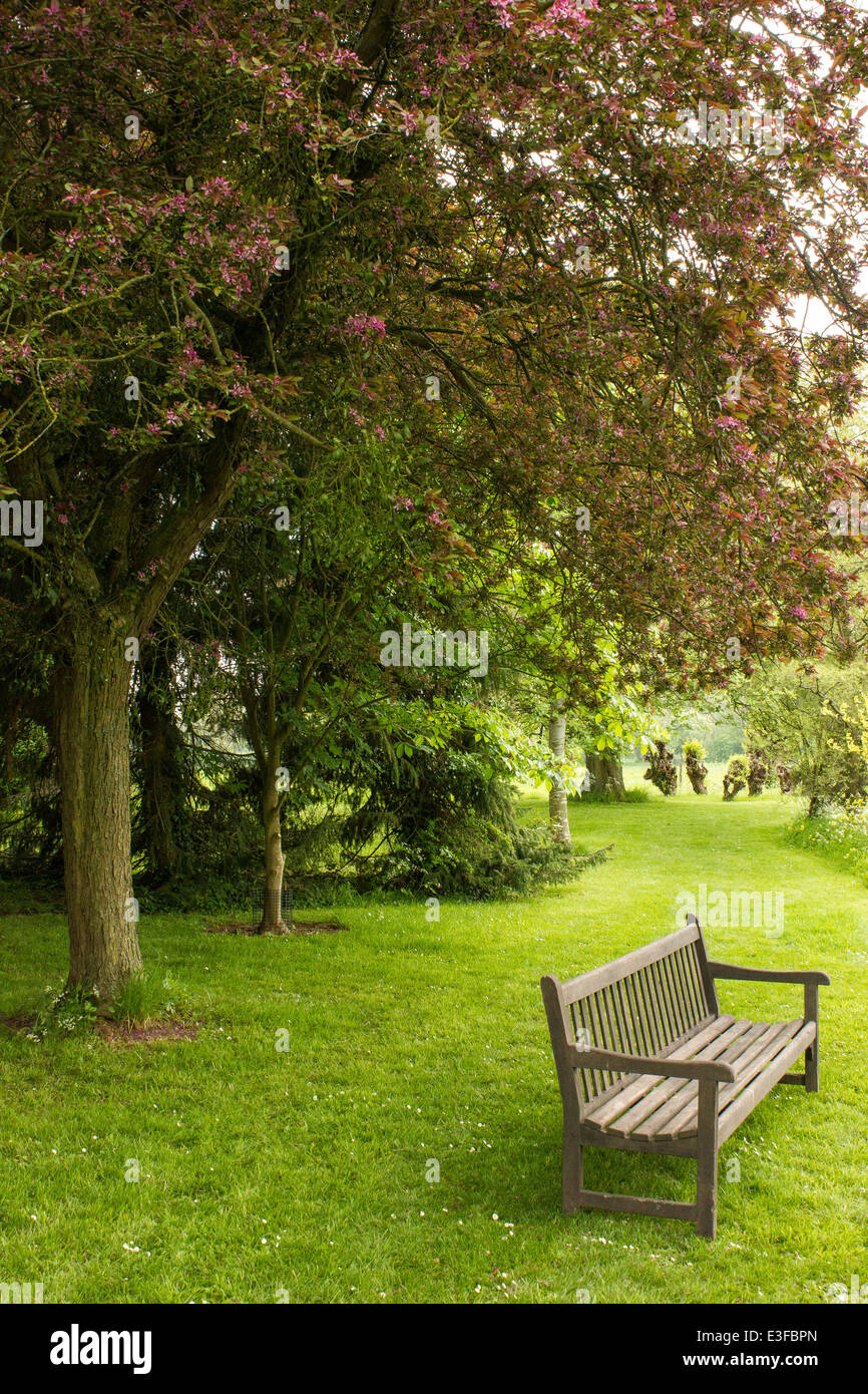 A Victorian garden with woodland and herbaceous plants seldom found ...