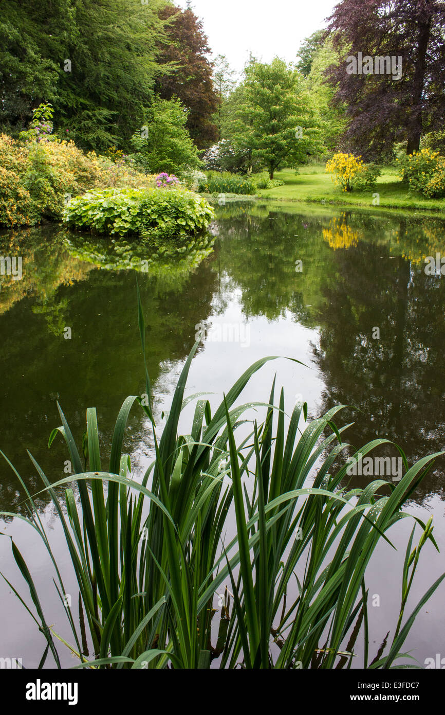 Wightwick Manor is a Victorian manor house located on Wightwick Bank ...