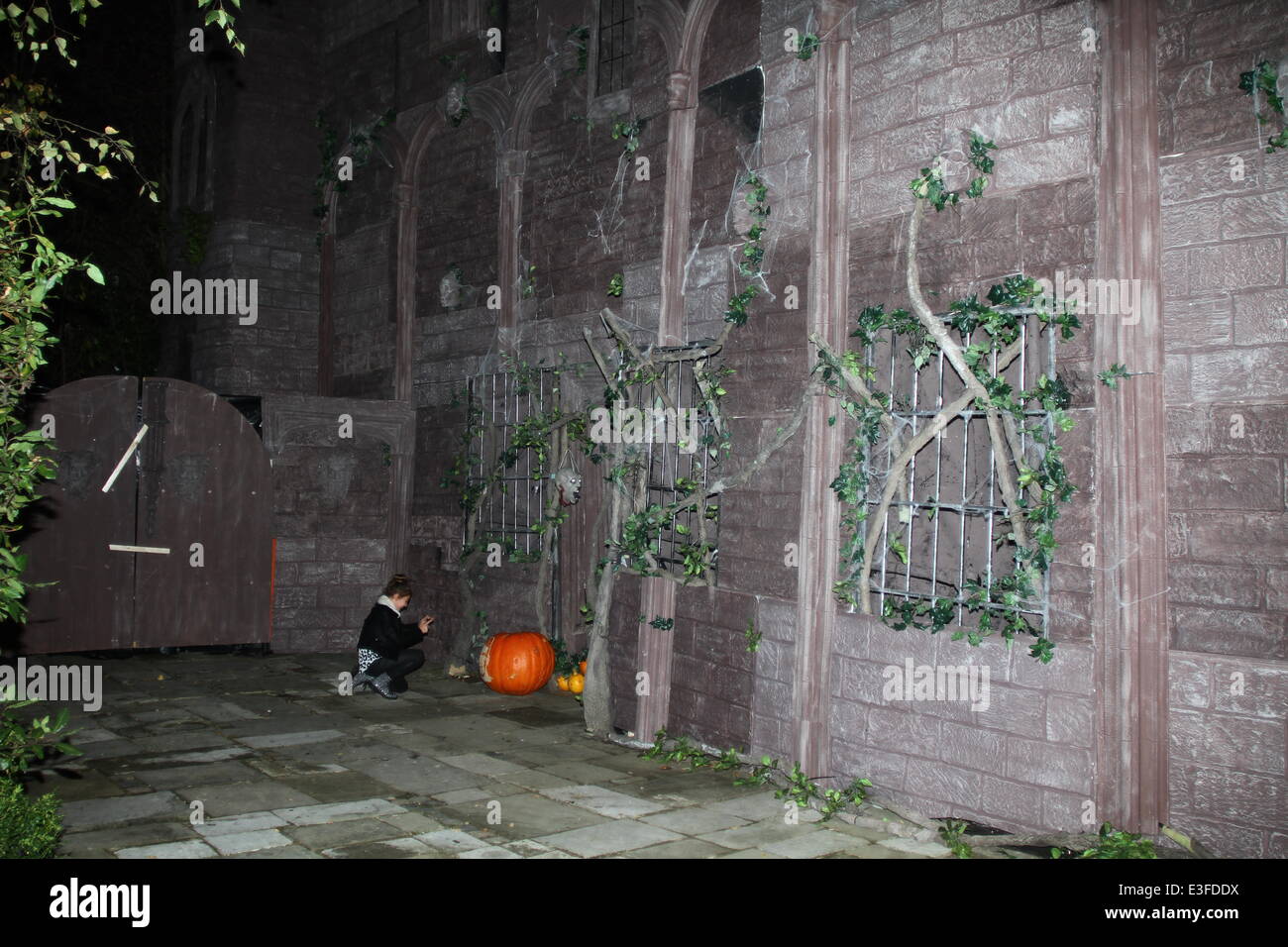 TV presenter Jonathan Ross transforms his North London house into a ...