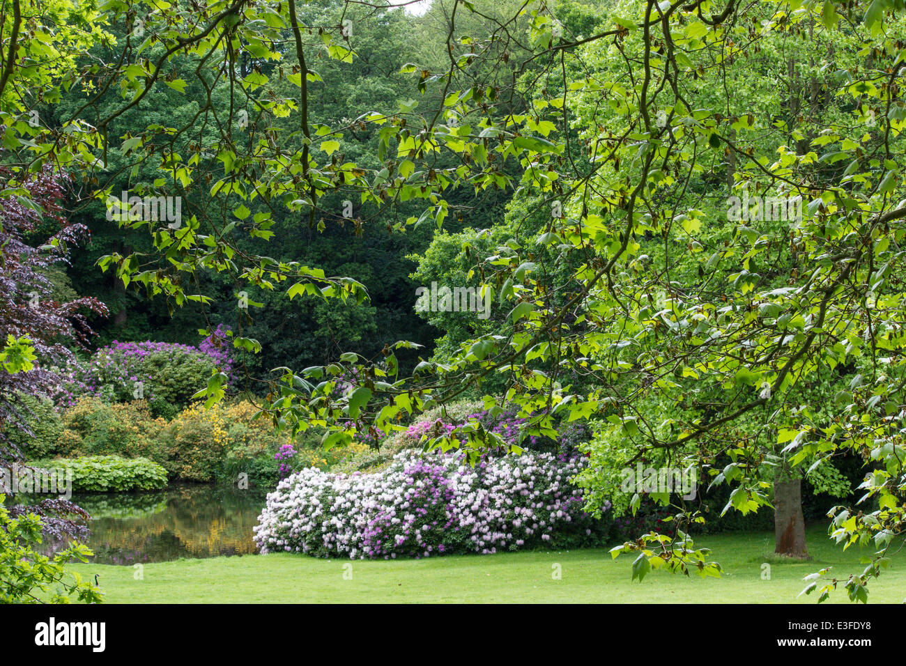 Wightwick Manor is a Victorian manor house located on Wightwick Bank ...