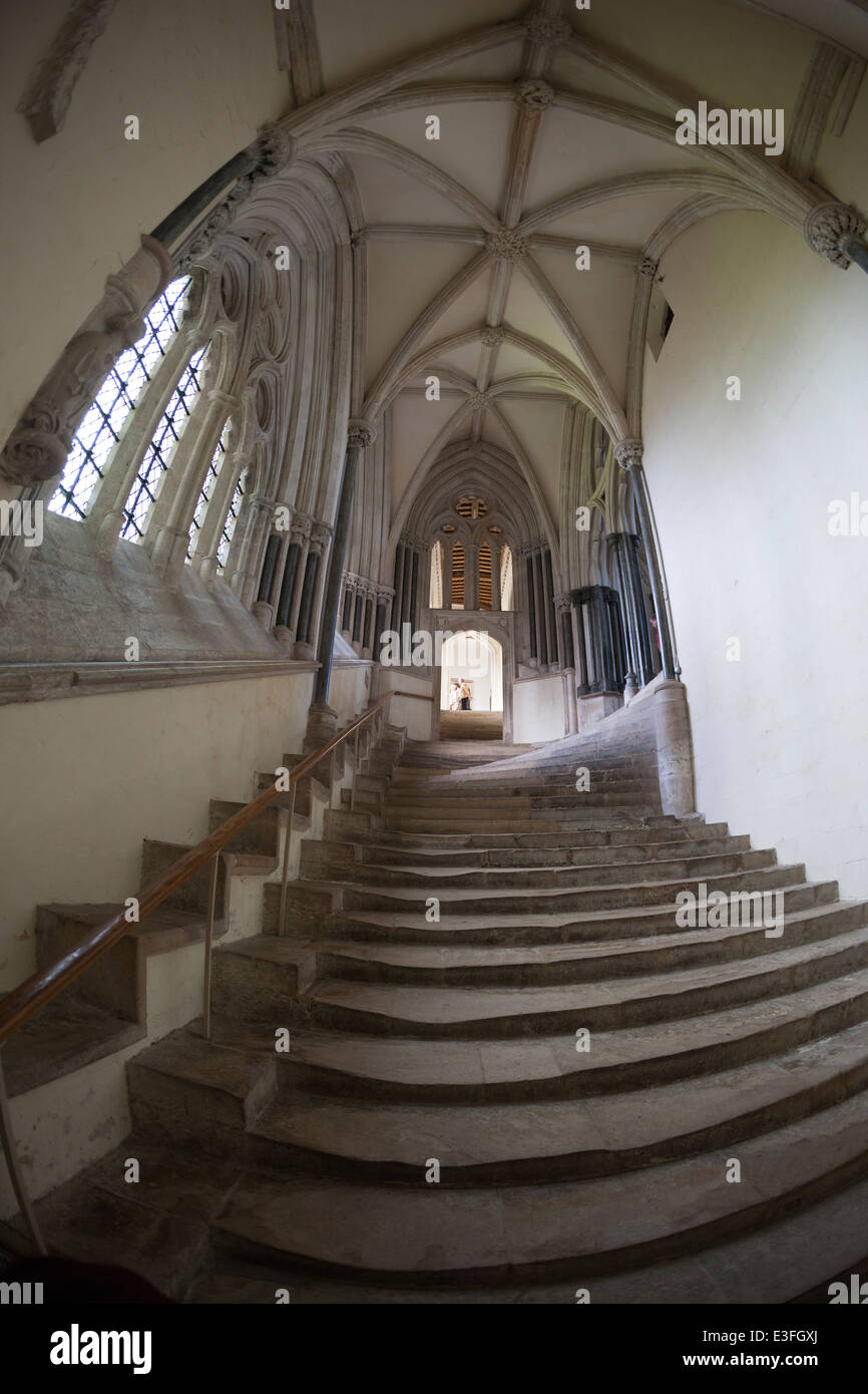 Wells cathedral chapter house hi-res stock photography and images - Alamy