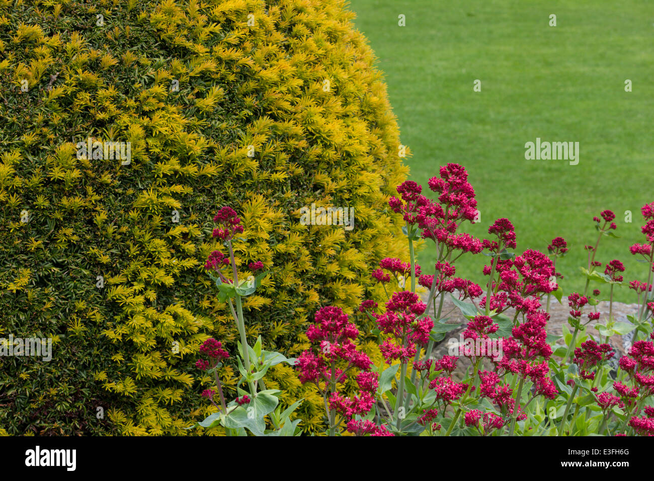 Wightwick Manor is a Victorian manor house located on Wightwick Bank ...