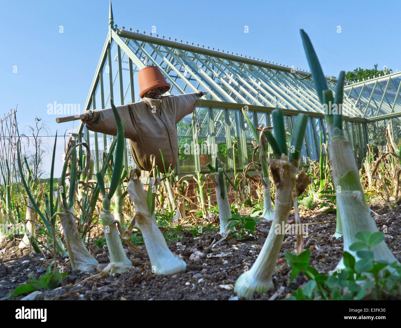 Ground level view hi-res stock photography and images - Alamy