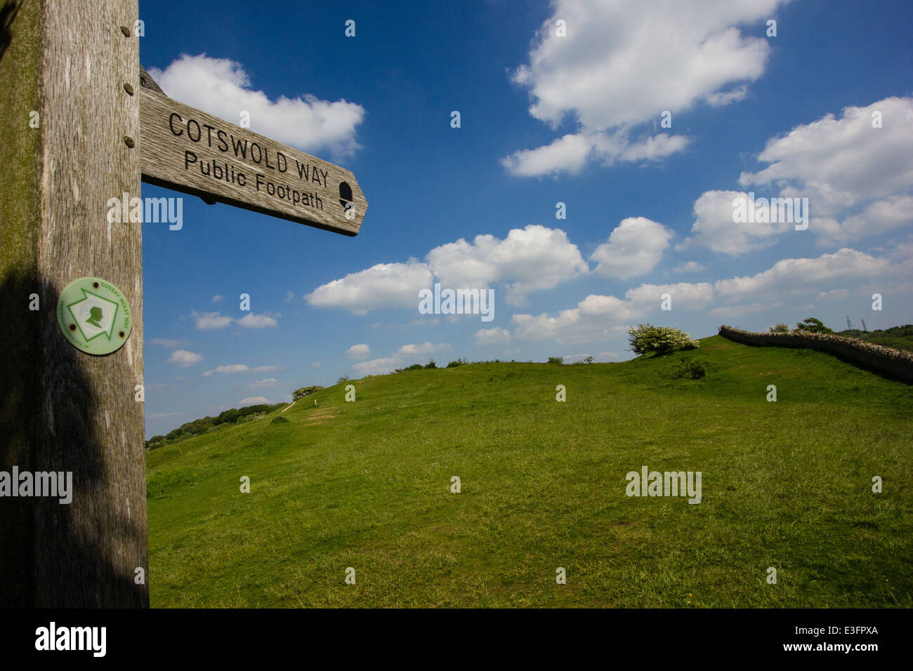Leckhampton Hill and Charlton Kings Common lie within the Cotswolds ...