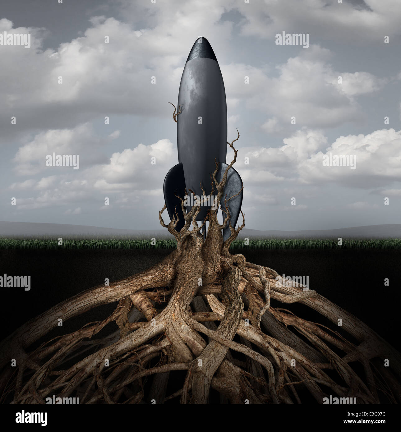 Buried roots hi-res stock photography and images - Alamy