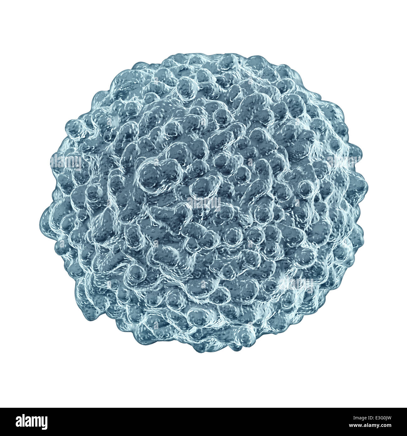 White blood cell concept isolated on a white background as a ...