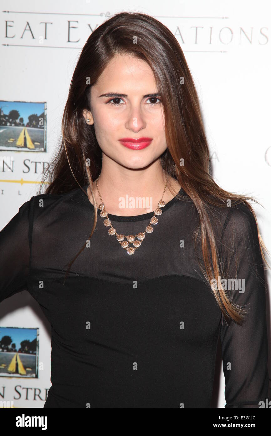 Charles dickens great expectations hi-res stock photography and images ...