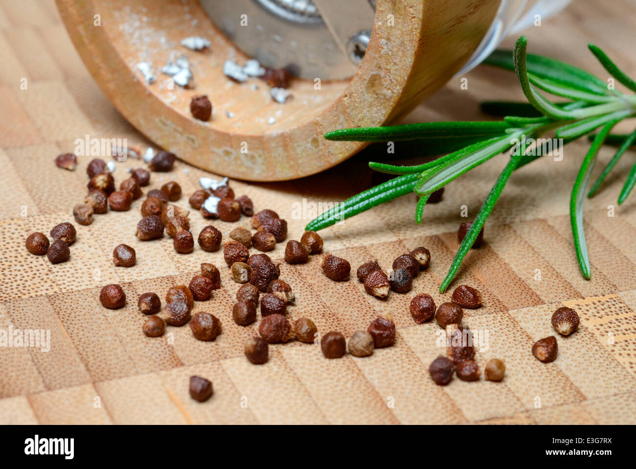 Melegueta pepper aframomum melegueta hi-res stock photography and ...