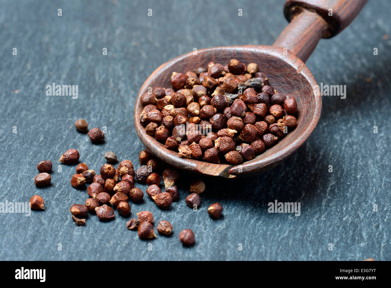 Aframomum Melegueta High Resolution Stock Photography and Images - Alamy
