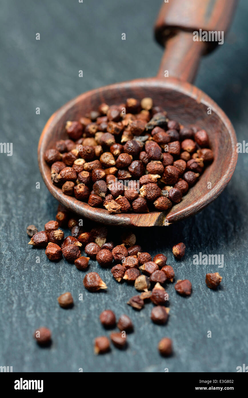 Grains Of Paradise Aframomum Melegueta Stock Photos & Grains Of ...
