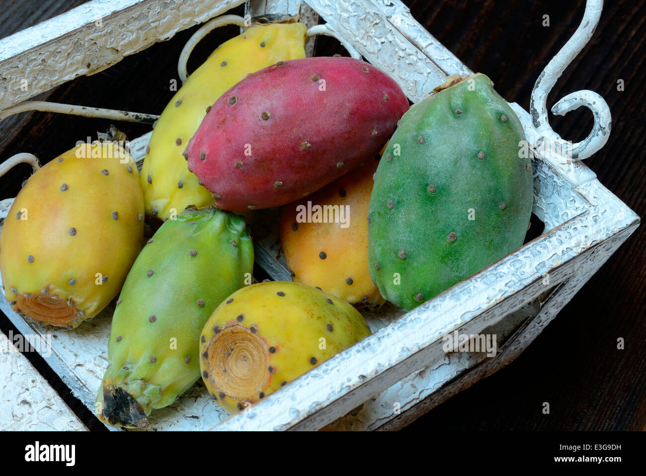 Ficus indica hi-res stock photography and images - Alamy
