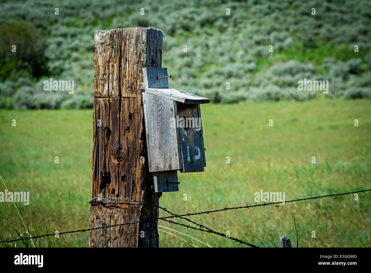 Bird house in a fence post Stock Photo - Alamy