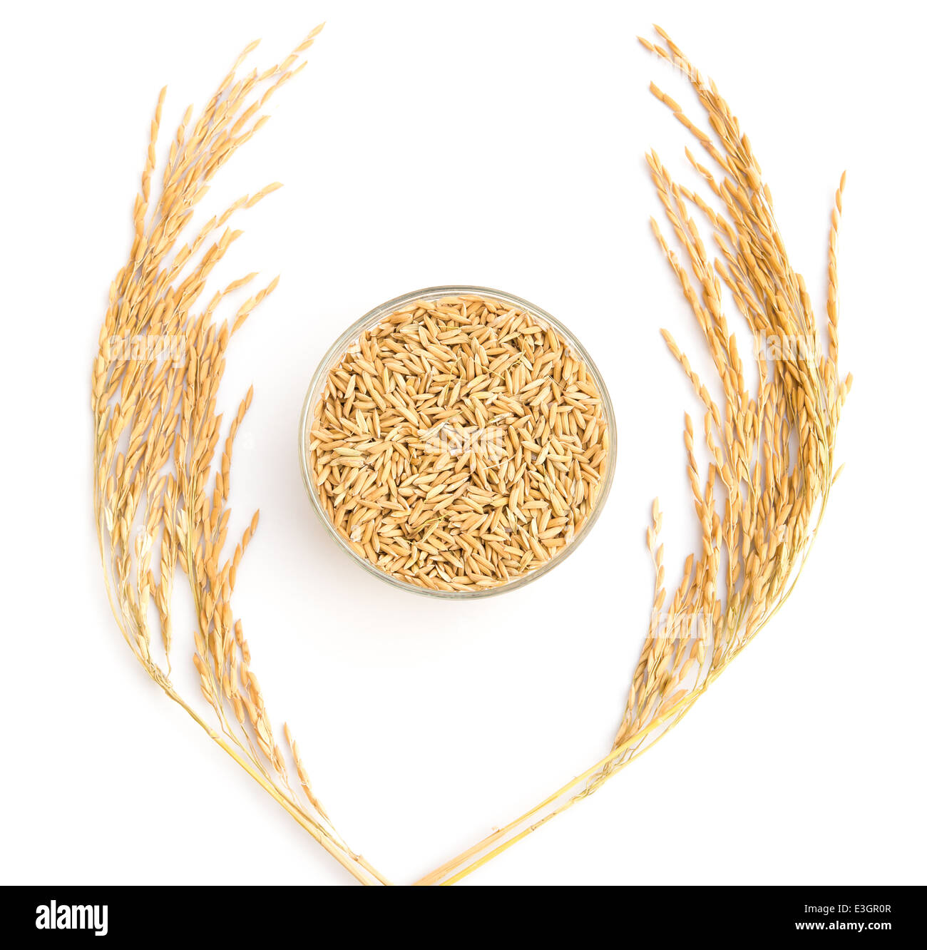 Paddy husk hi-res stock photography and images - Alamy