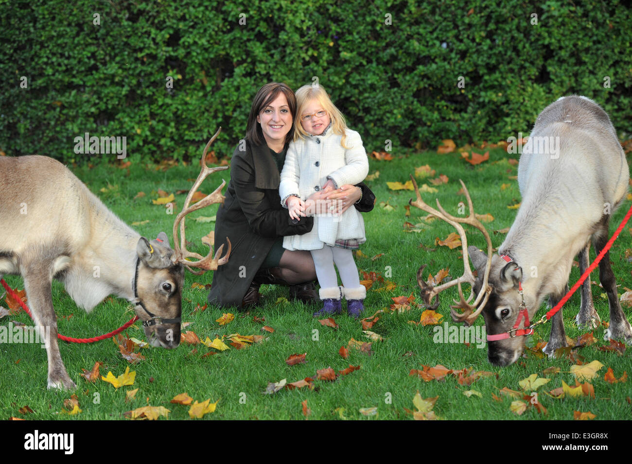 'Meet Santa' photocall held at ZSL London Zoo Featuring: Natalie ...