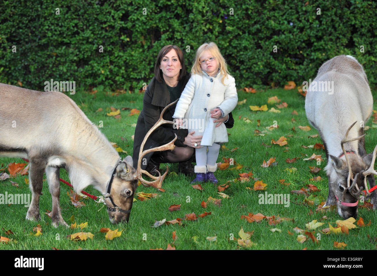 'Meet Santa' photocall held at ZSL London Zoo Featuring: Natalie ...