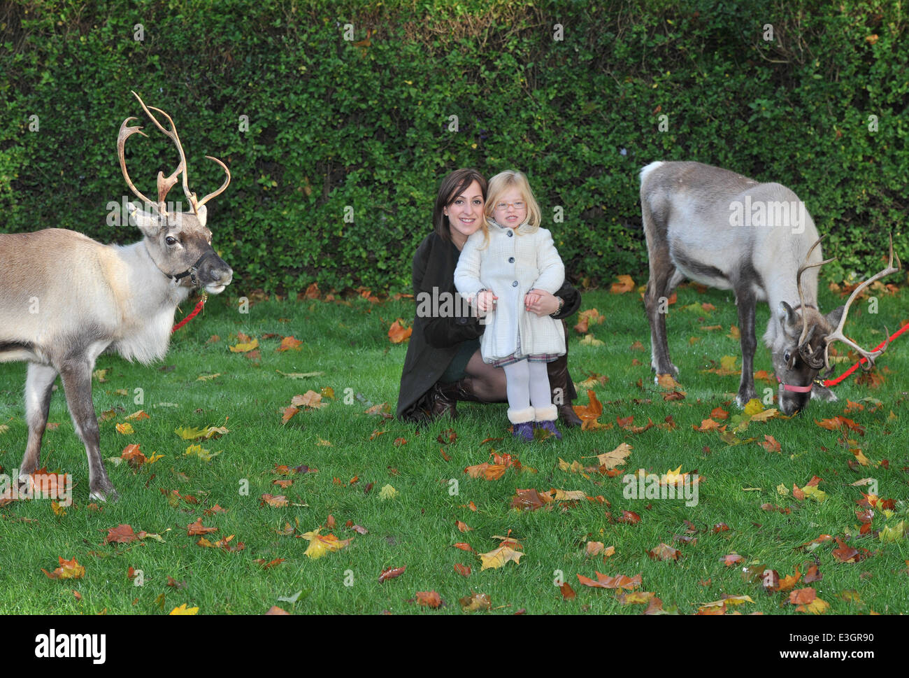 'Meet Santa' photocall held at ZSL London Zoo Featuring: Natalie ...