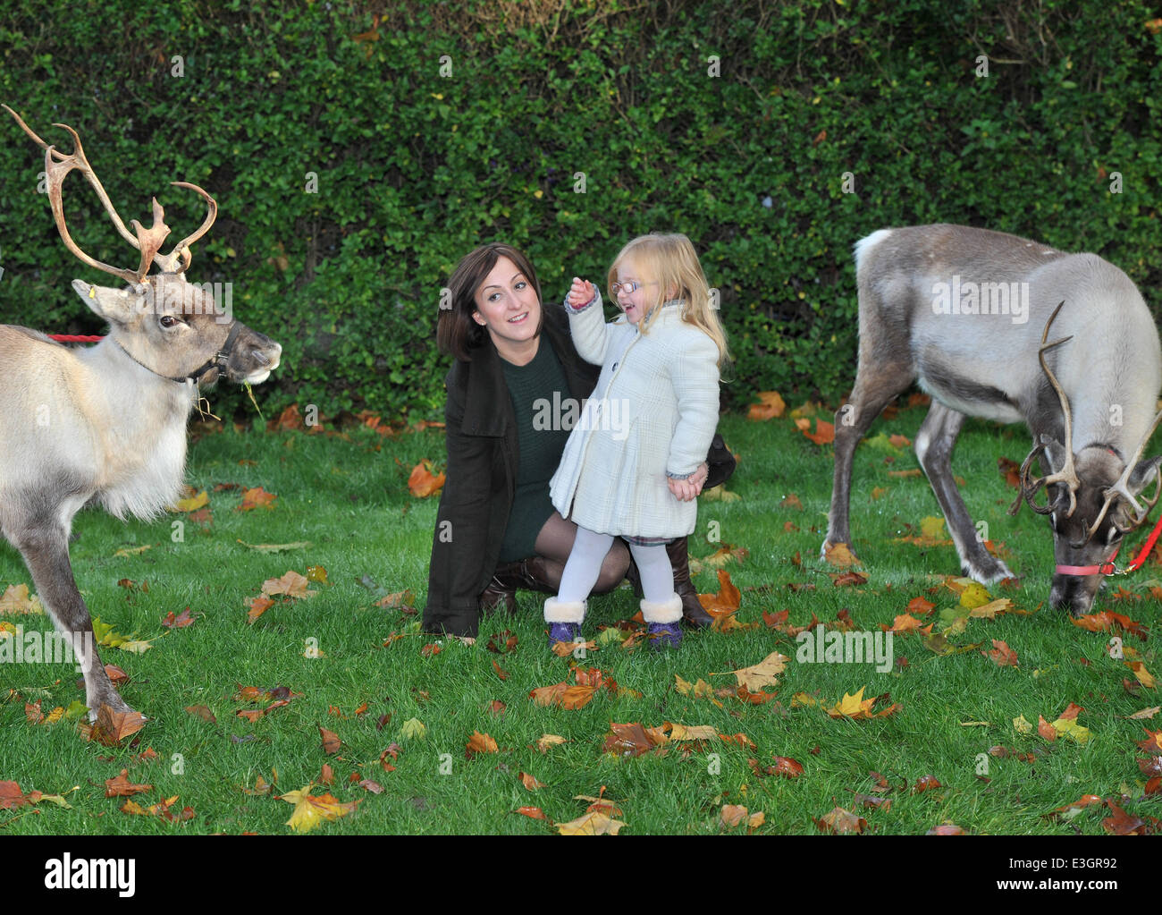 'Meet Santa' photocall held at ZSL London Zoo Featuring: Natalie ...