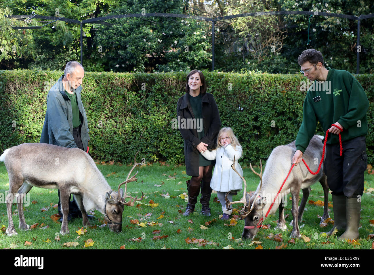 'Meet Santa' photocall held at ZSL London Zoo Featuring: Natalie ...