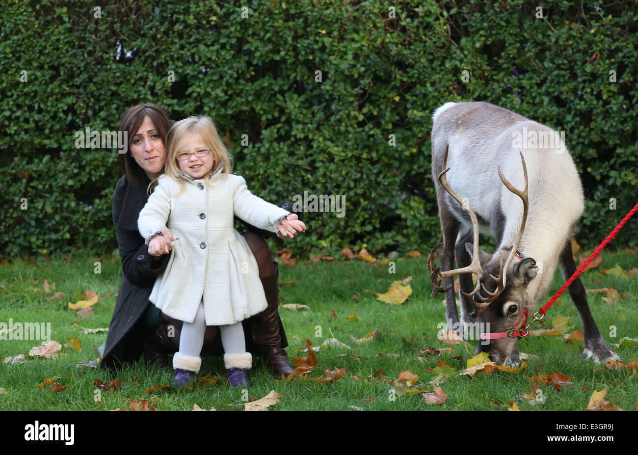 'Meet Santa' photocall held at ZSL London Zoo Featuring: Natalie ...