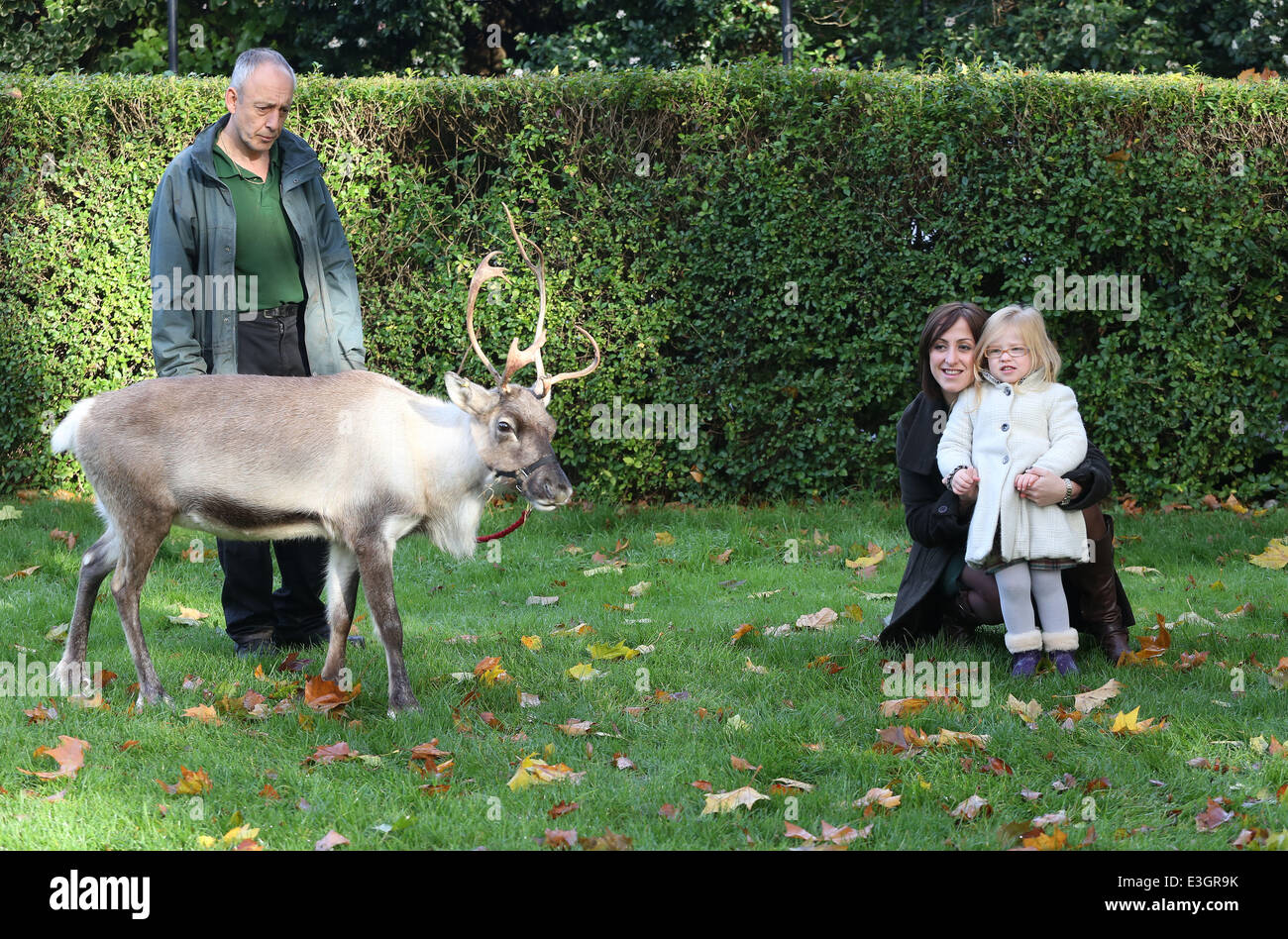 'Meet Santa' photocall held at ZSL London Zoo Featuring: Natalie ...