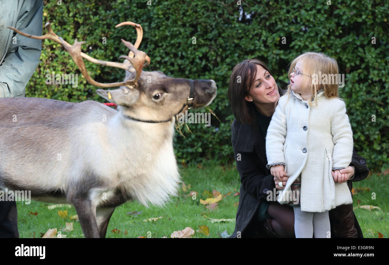 'Meet Santa' photocall held at ZSL London Zoo Featuring: Natalie ...