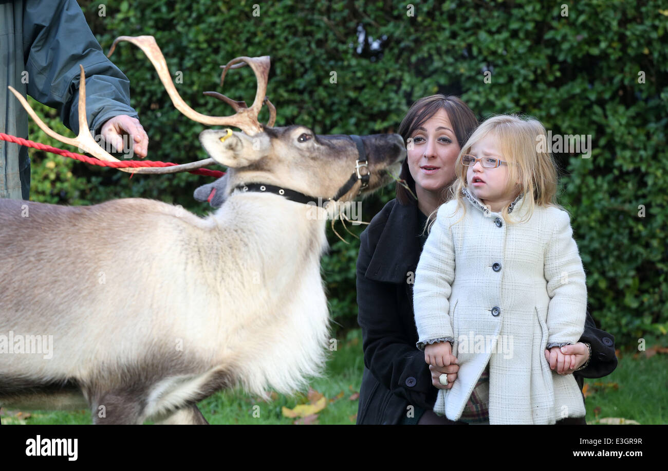 'Meet Santa' photocall held at ZSL London Zoo Featuring: Natalie ...