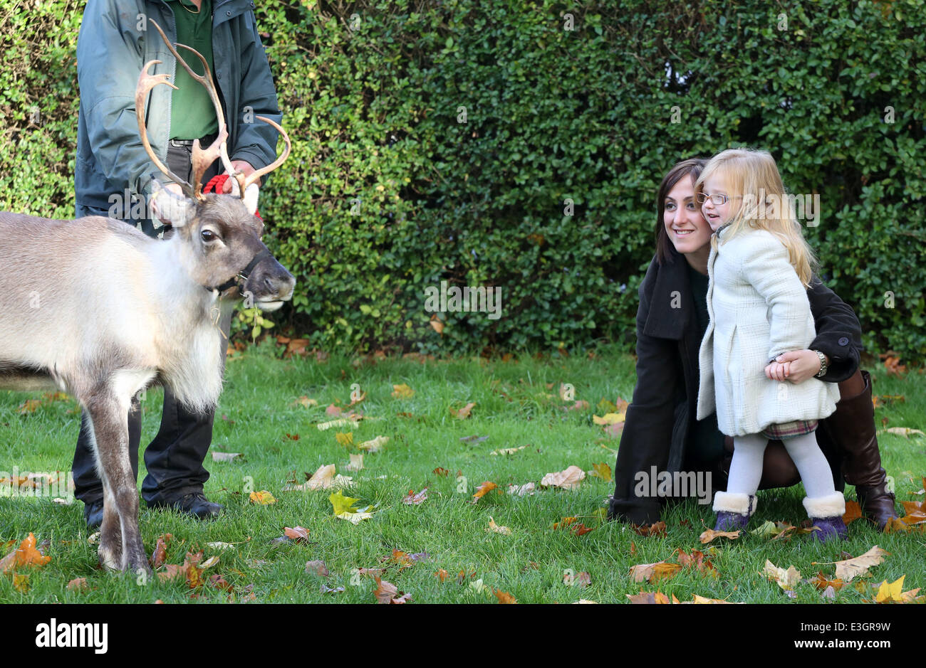'Meet Santa' photocall held at ZSL London Zoo Featuring: Natalie ...