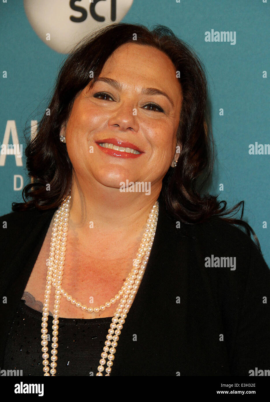 Premiere of Science Channel's The Challenger Disaster at the ...