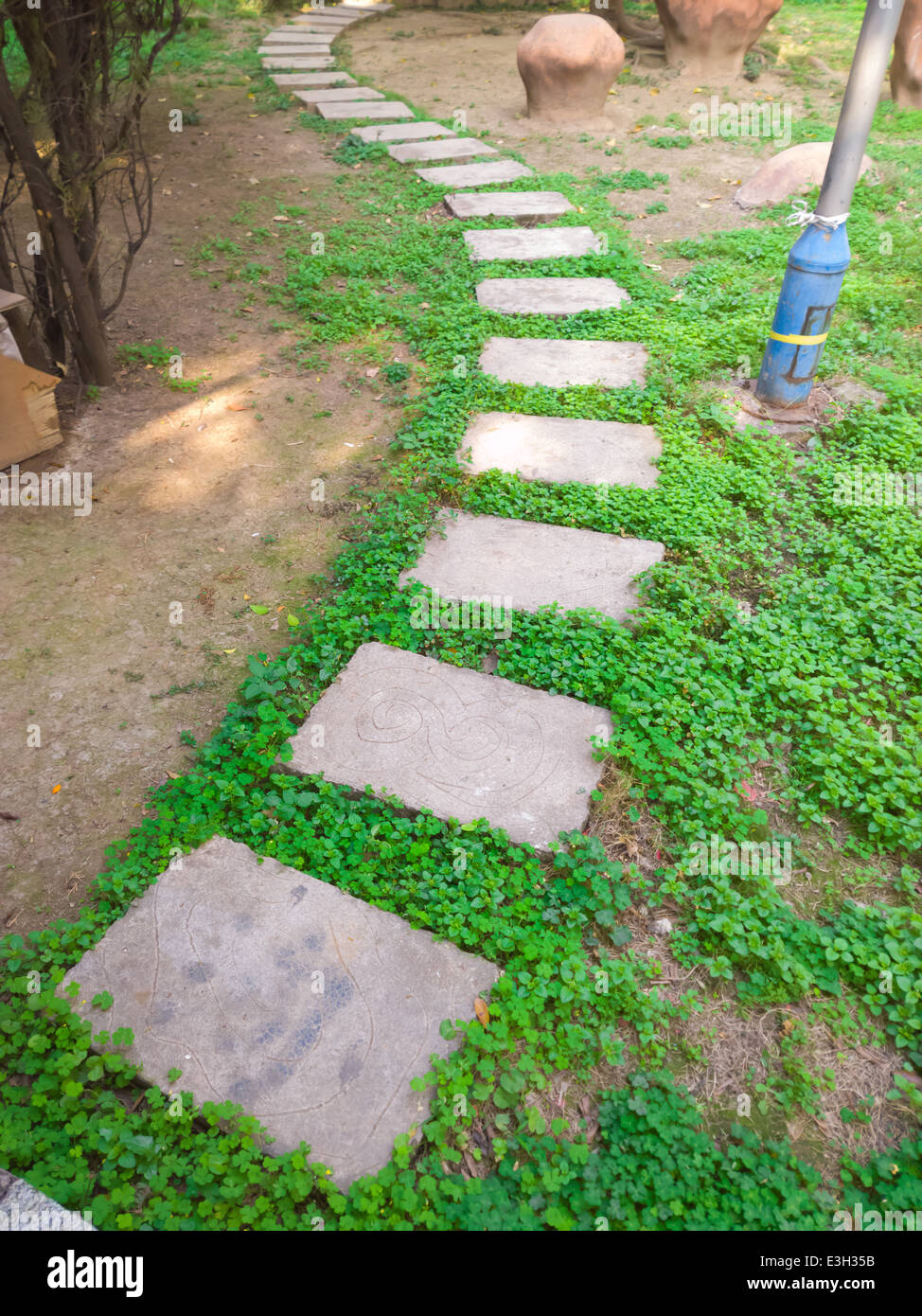 Life pathway hi-res stock photography and images - Alamy