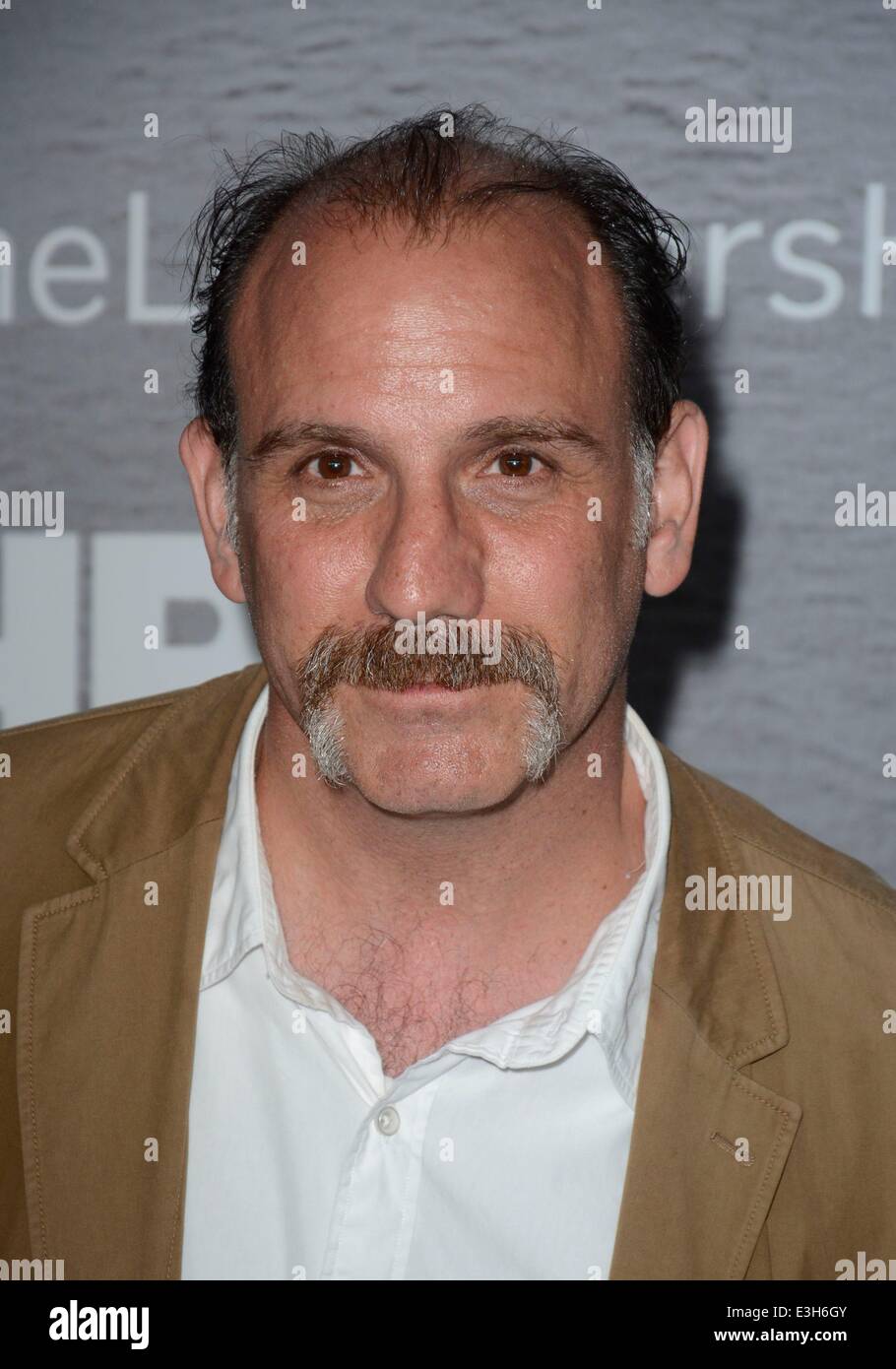 New York, NY, USA. 23rd June, 2014. Nick Sandow at arrivals for THE ...