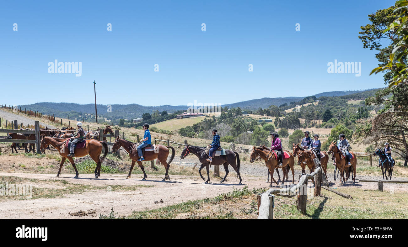 Horse riders on a trail ride Stock Photo - Alamy