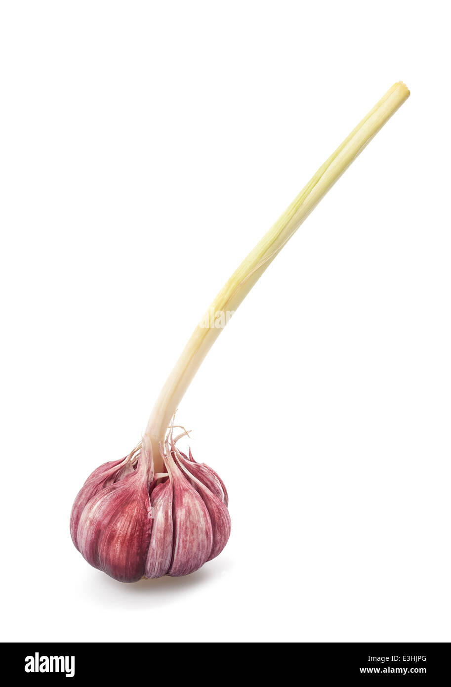 Red garlic isolated on white background Stock Photo - Alamy