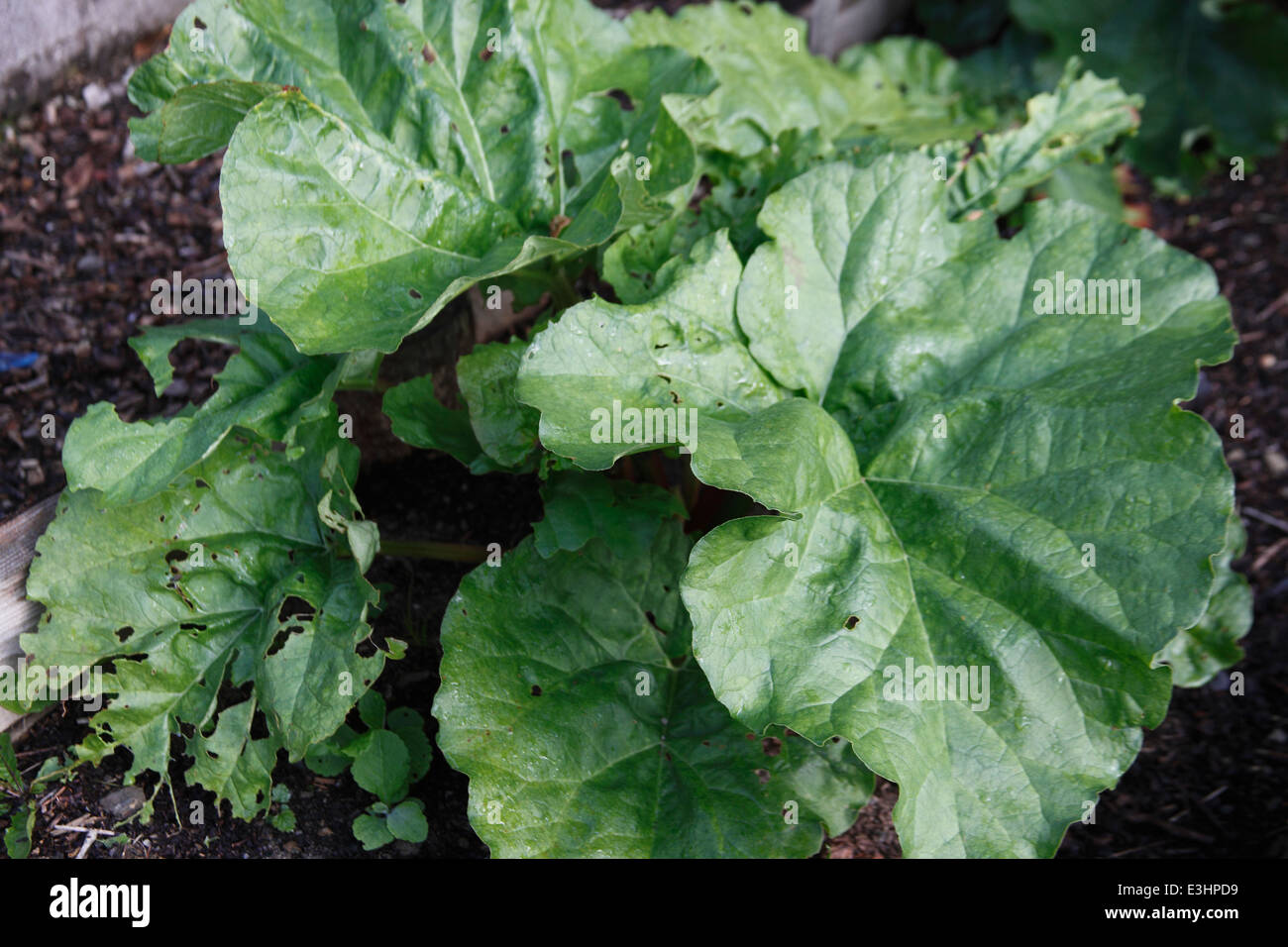 Timperley hi-res stock photography and images - Alamy