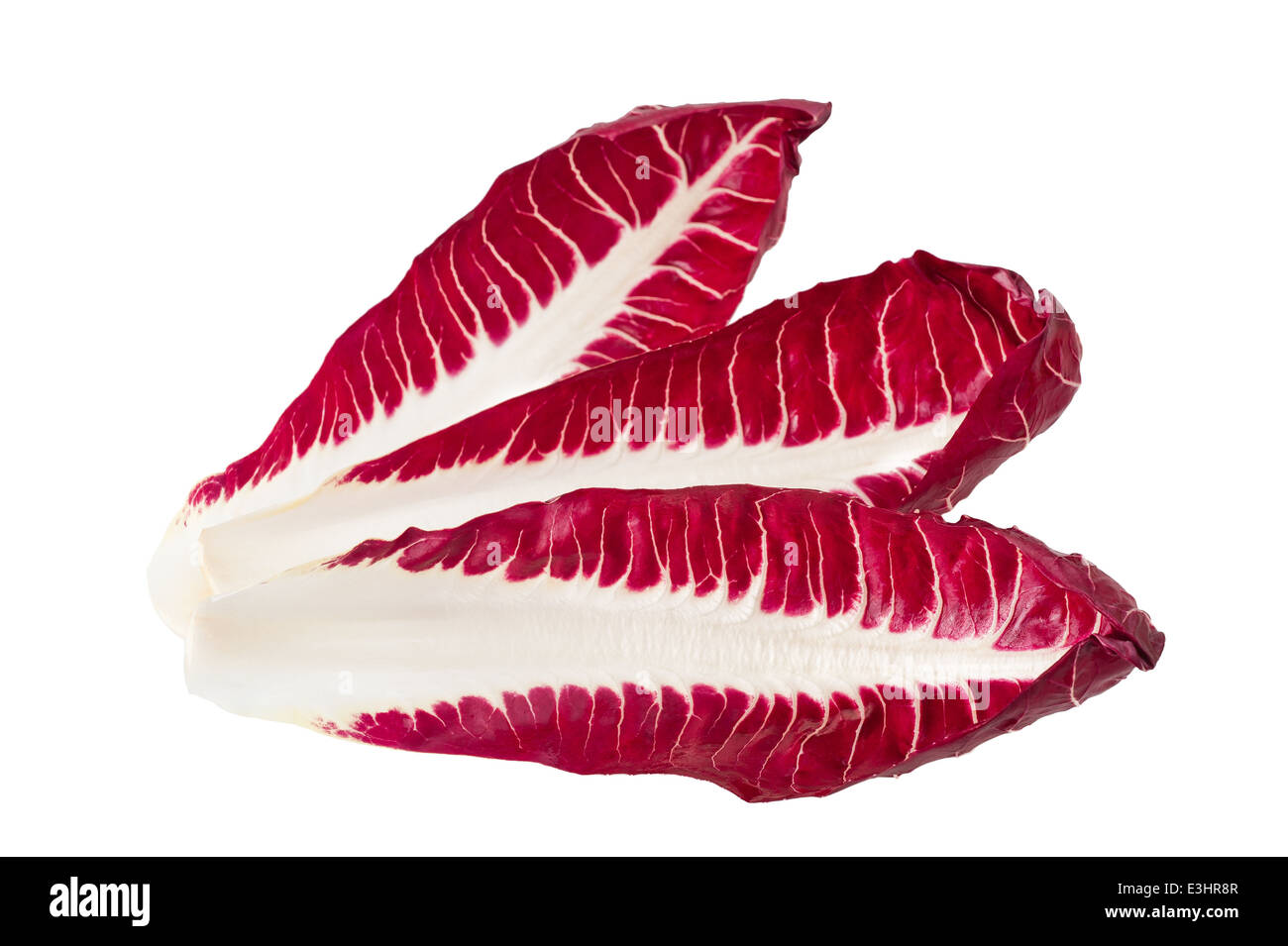 Red Chicory High Resolution Stock Photography and Images - Alamy