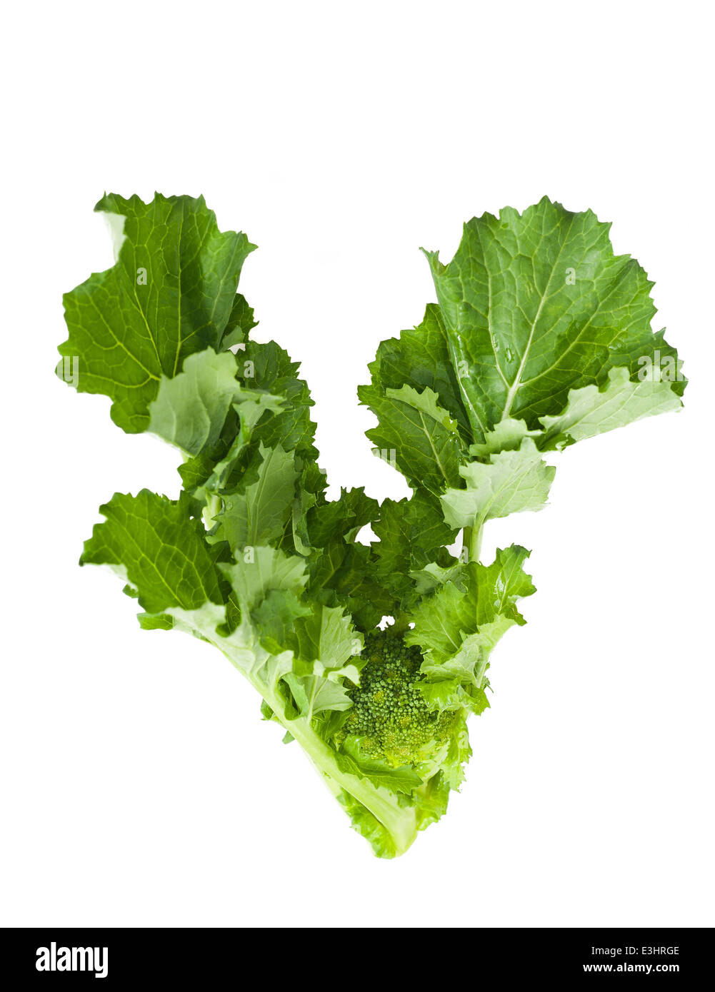 Turnip greens hi-res stock photography and images - Alamy