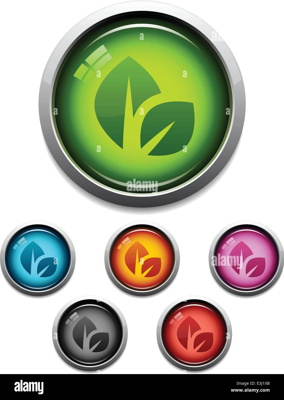 Glossy leaf plant Stock Vector Images - Alamy