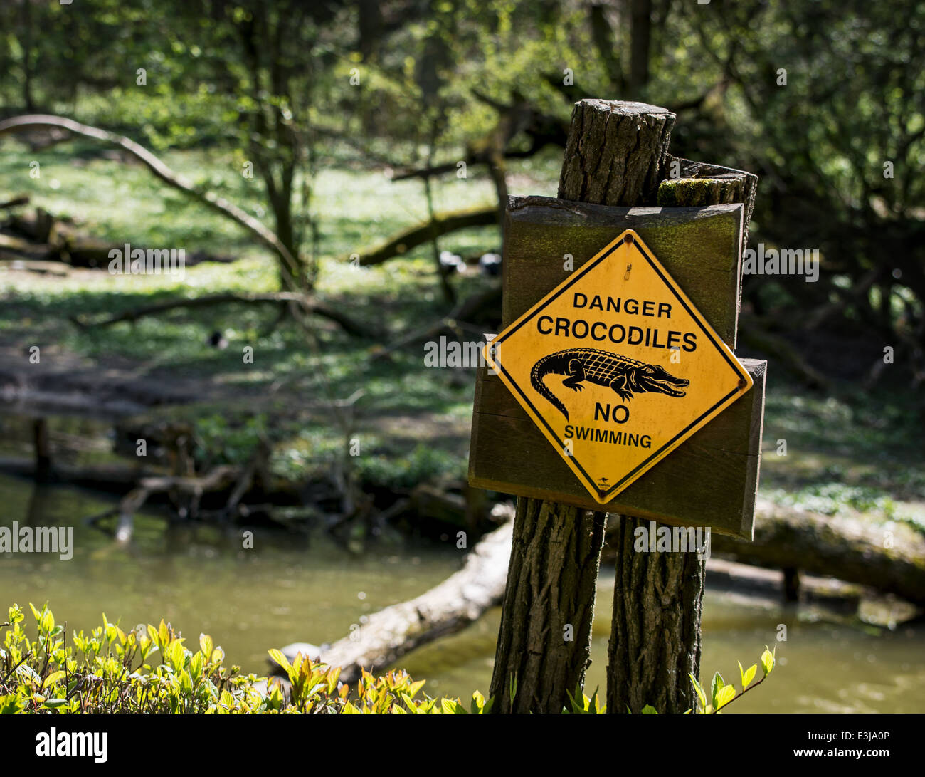 Wild Animal Warning Signs Stock Photos & Wild Animal Warning Signs ...