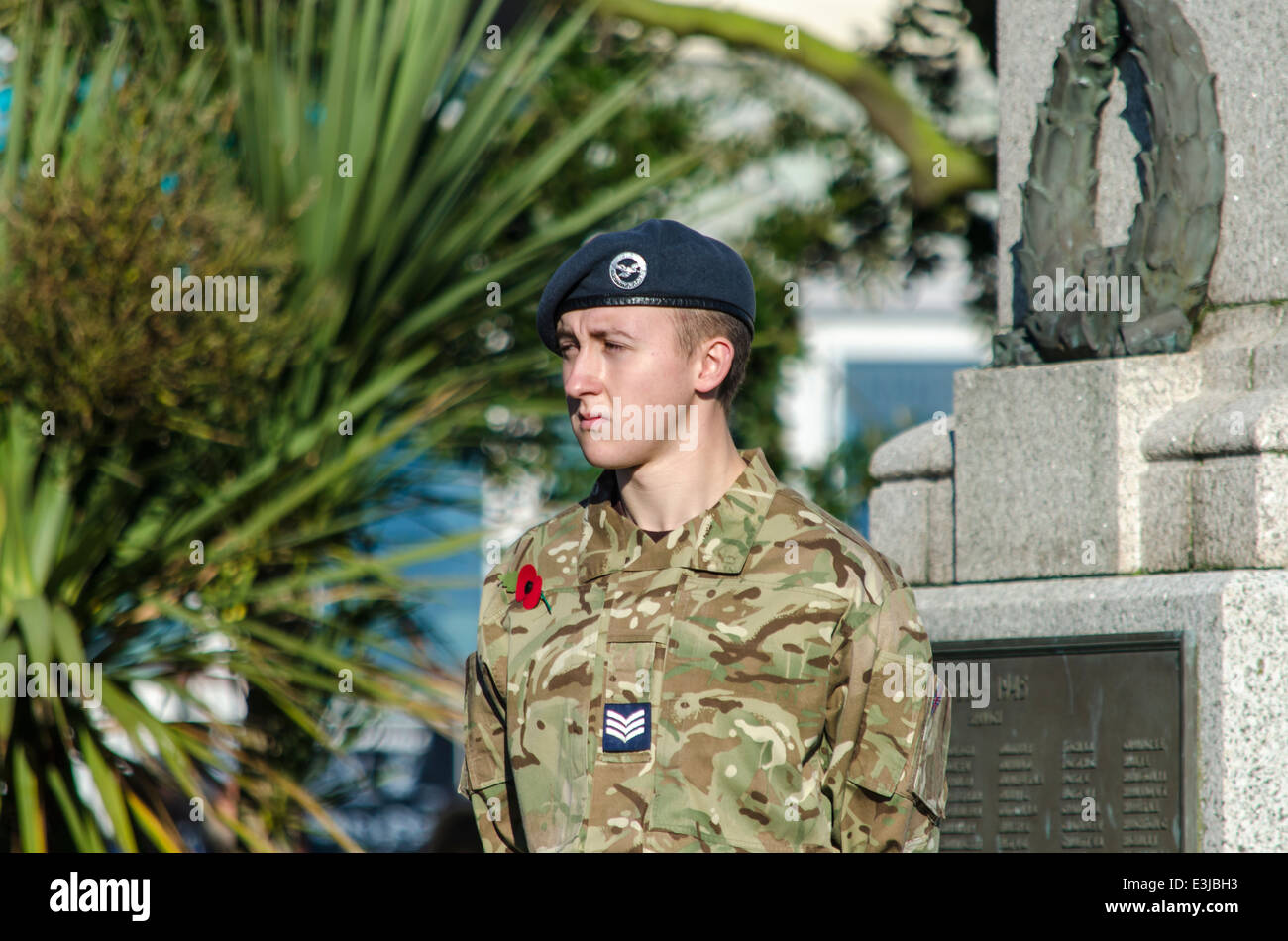 British soldier standing to attention hi-res stock photography and ...
